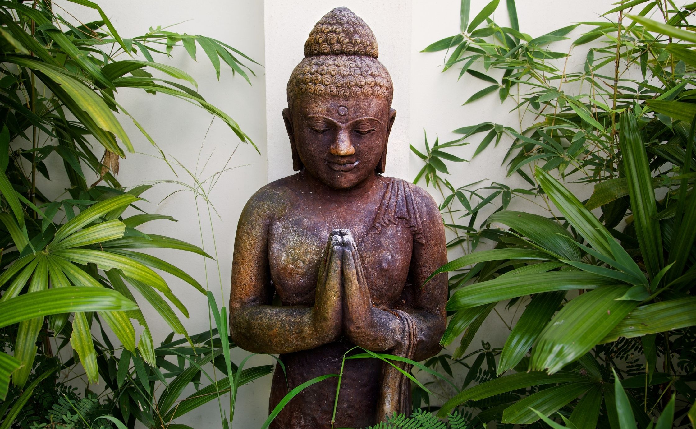 Merci - Helena Xavier