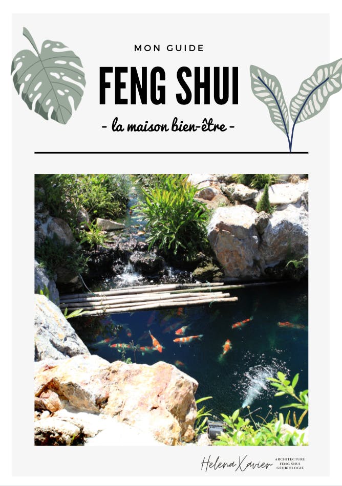 Helena Xavier - Architecture & Feng Shui